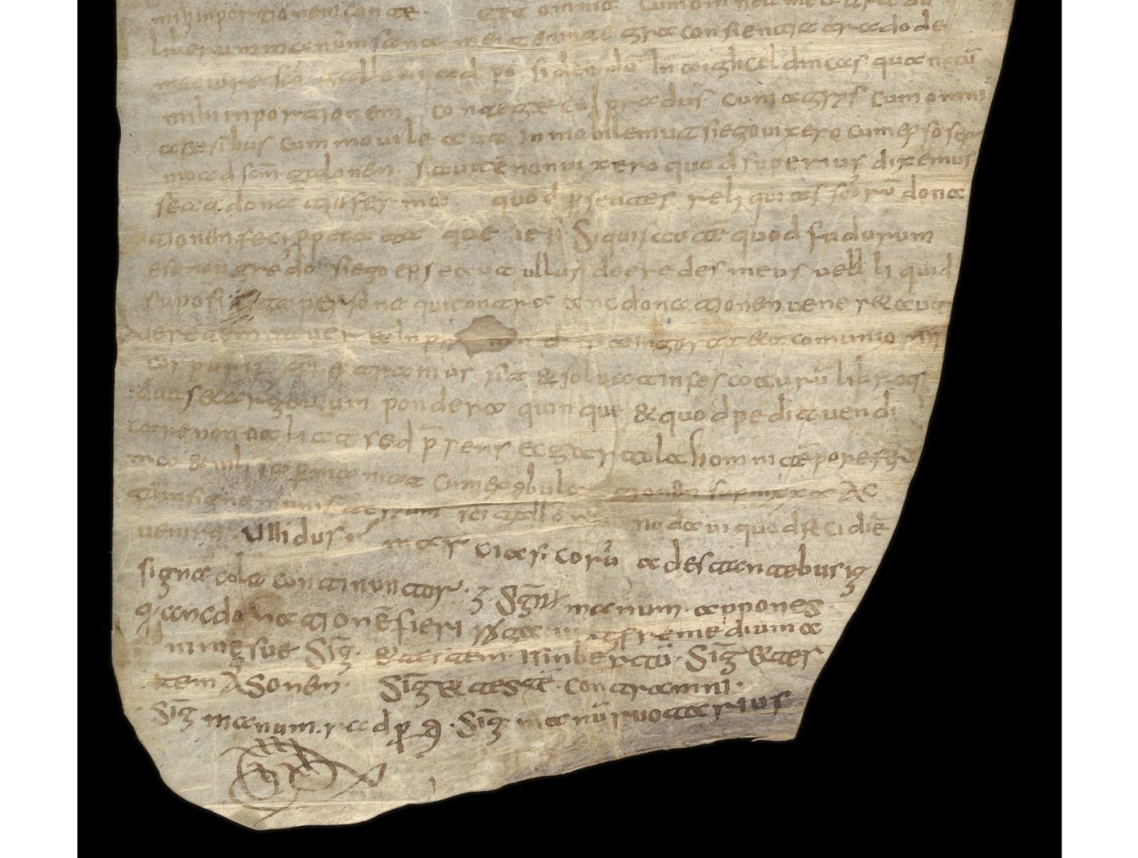 Medieval farming boosted bio-diversity in Germany, study finds ...