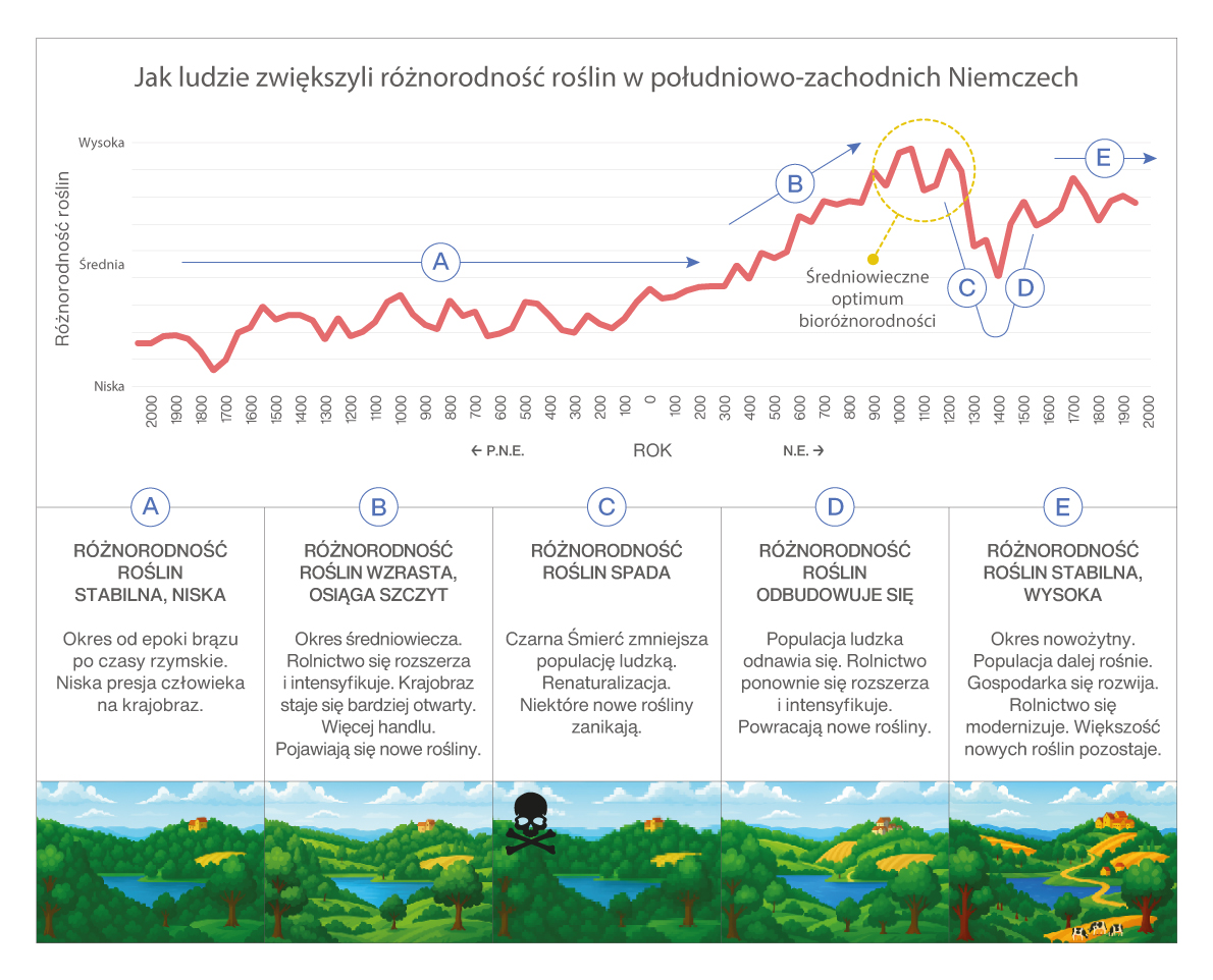 Medieval farming boosted bio-diversity in Germany, study finds ...