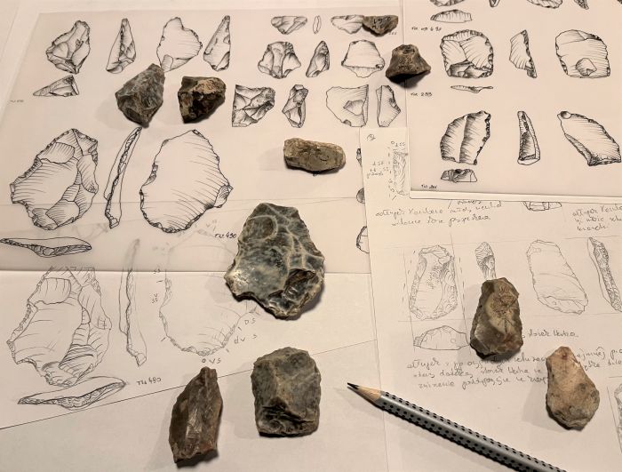 Flint tools found in cave among the oldest ever discovered in Poland ...