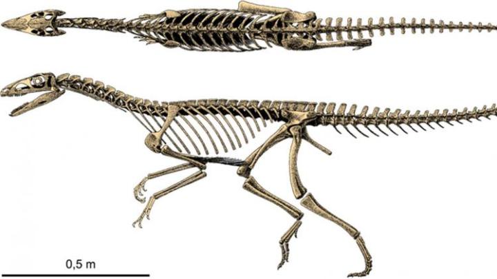 University of Warsaw Researchers: Dinosaurs Evolved Directly From Four ...