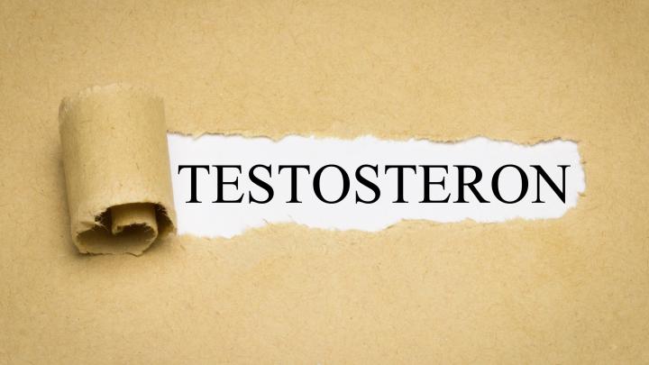 Wrocław/ Scientists study impact of gut microbiota on testosterone ...