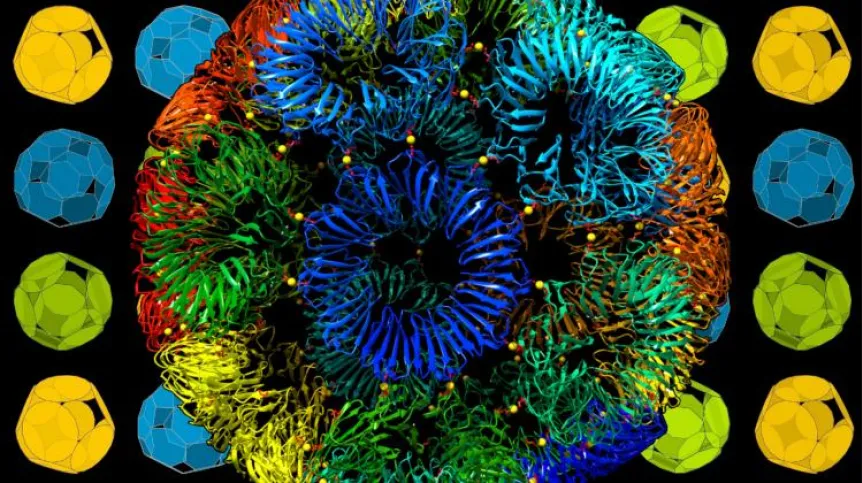 Researchers have built a gold-coordinated protein cage with "impossible ...